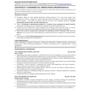 Resume Writing Services, CV Writing in India | Avon Resumes